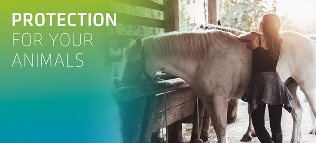 Protection against electrosmog for your animals. Electrostatic shield ...